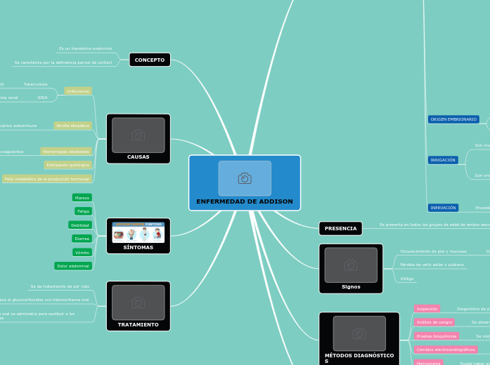 ENFERMEDAD DE ADDISON - Mind Map