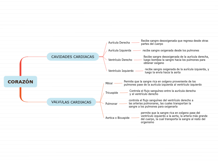 CORAZÓN - Mind Map