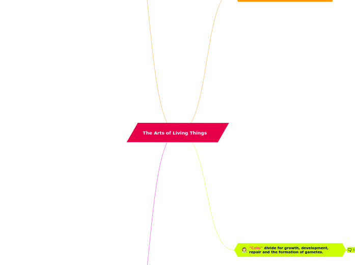 The Arts of Living Things - Mind Map