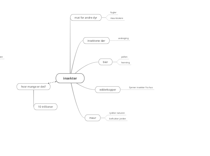 insekter - Mind Map