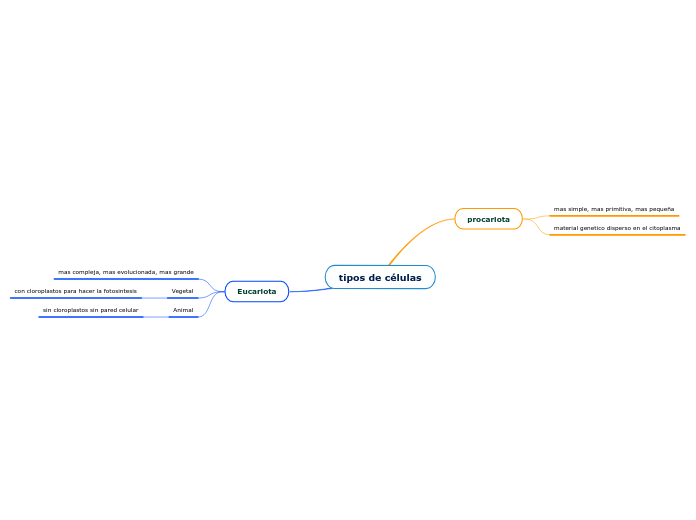 tipos de células - Mind Map