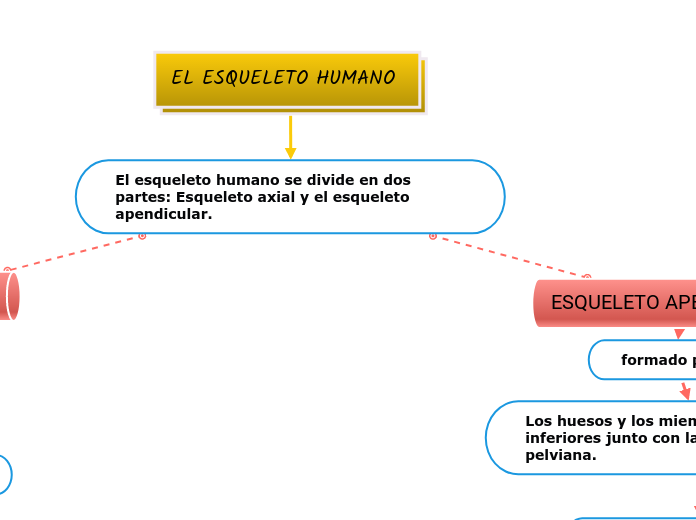 EL ESQUELETO HUMANO - Mind Map