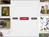 THE ANIMALS - Mind Map