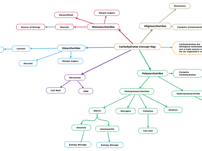 Carbohydrates Concept Map - Mind Map