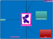 macromolecules - Mind Map