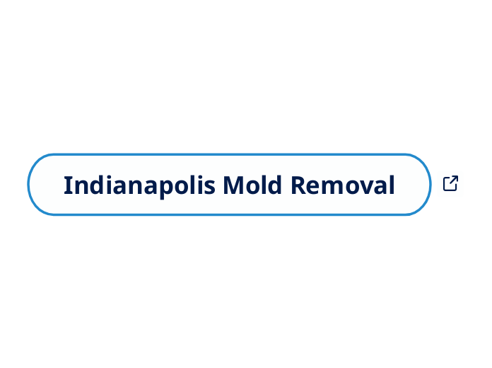 Indianapolis Mold Removal - Mind Map