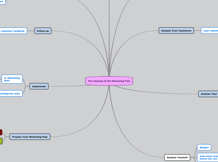 The Success of the Marketing Plan - Mind Map