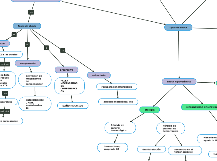 SHOCK (choque circulatorio) - Mind Map