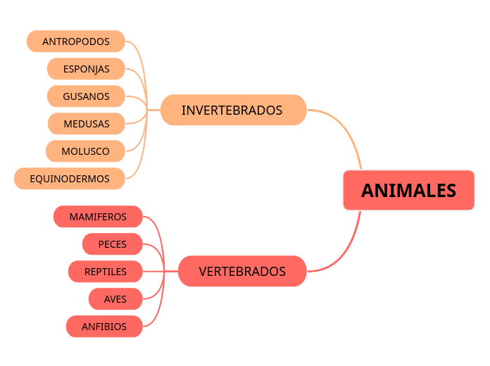 ANIMALES - Mind Map