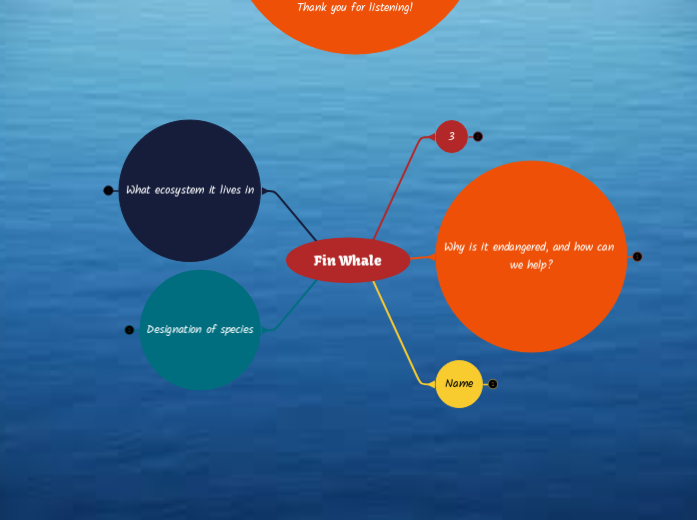 Fin Whale - Mind Map