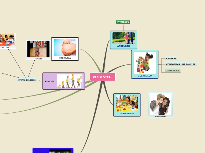 CICLO VITAL - Mind Map