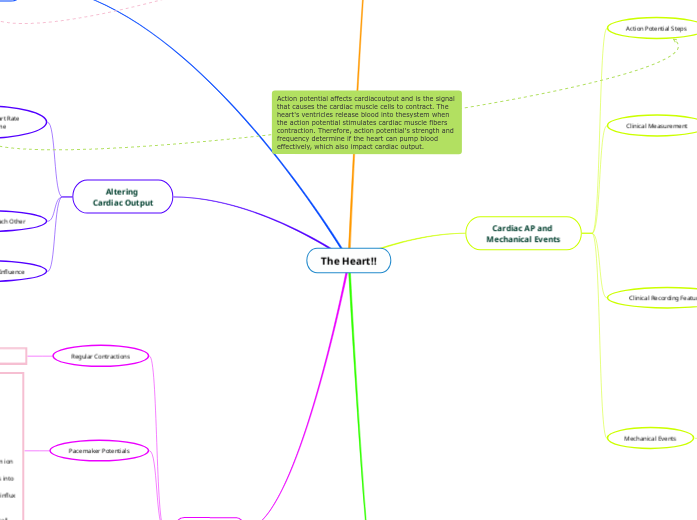 The Heart!! - Mind Map