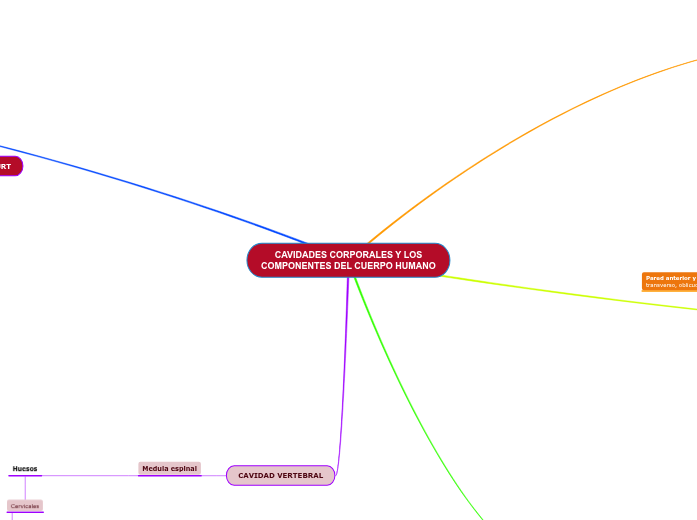 CAVIDADES CORPORALES Y LOS COMPONENTES DEL...- Mind Map