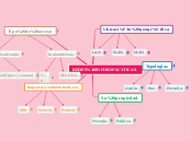 REDES INFORMATICAS - Mind Map