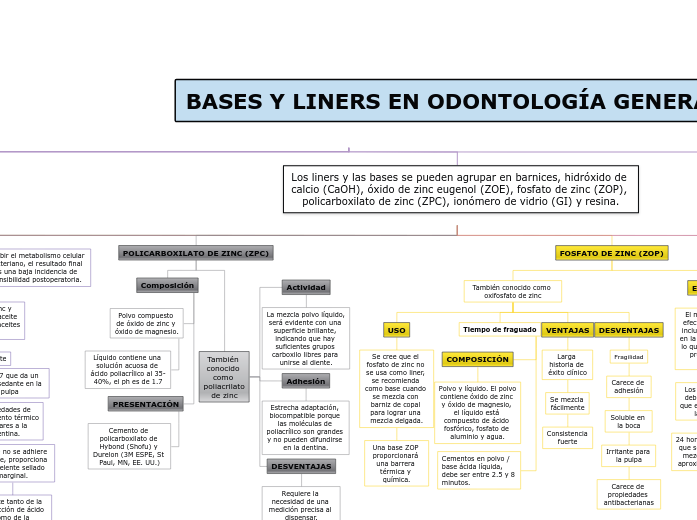 BASES Y LINERS - Mind Map