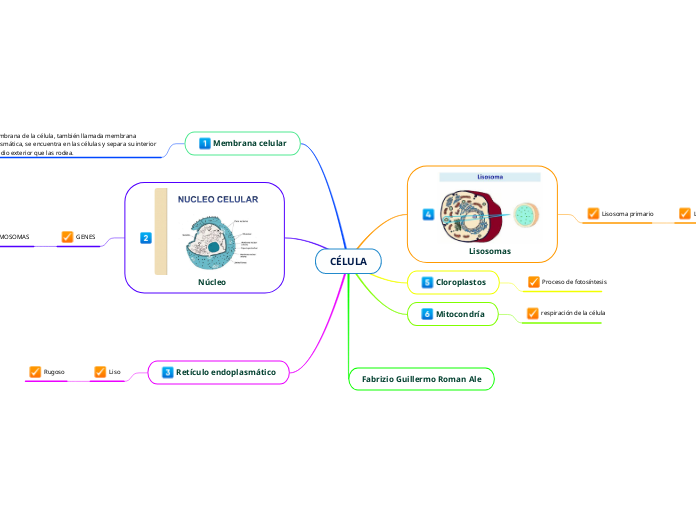 CÉLULA - Mind Map