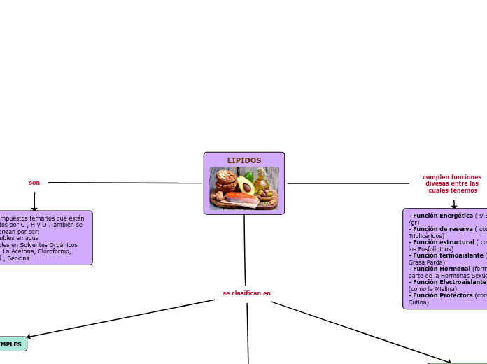 LIPIDOS - Mind Map