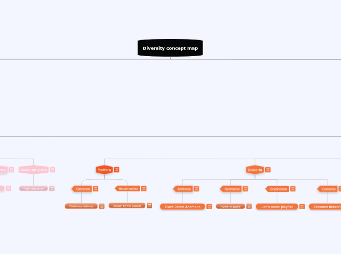 Diversity concept map - Mind Map