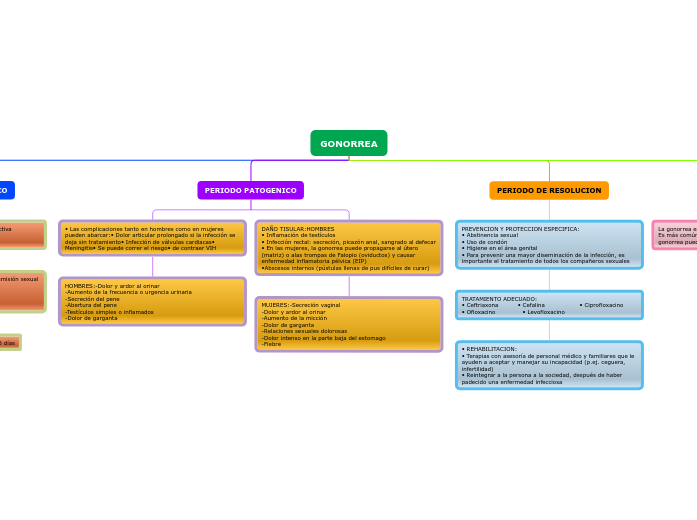 gonorrea - Mind Map