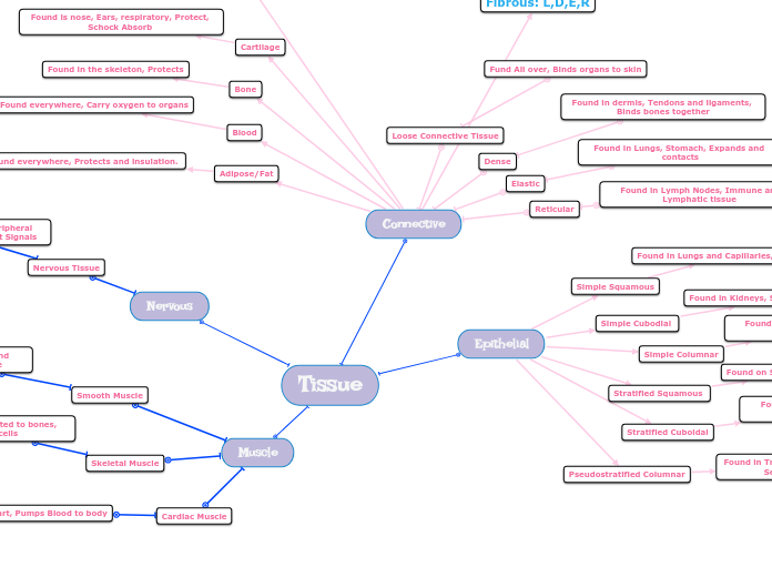 Tissue - Mind Map