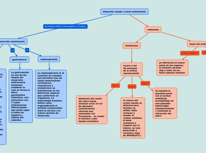 Desarollo celular a nivel embrionerio - Mind Map