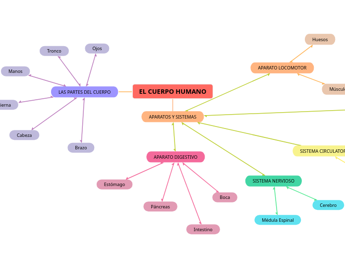 EL CUERPO HUMANO - Mind Map