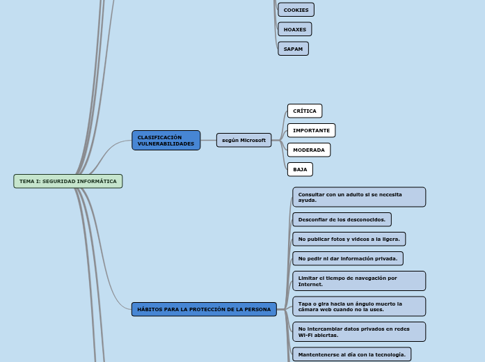 TEMA I: SEGURIDAD INFORMÁTICA - Mind Map