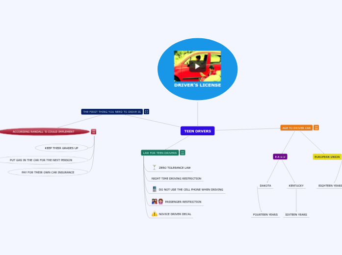 DRIVER'S LICENSE - Mind Map