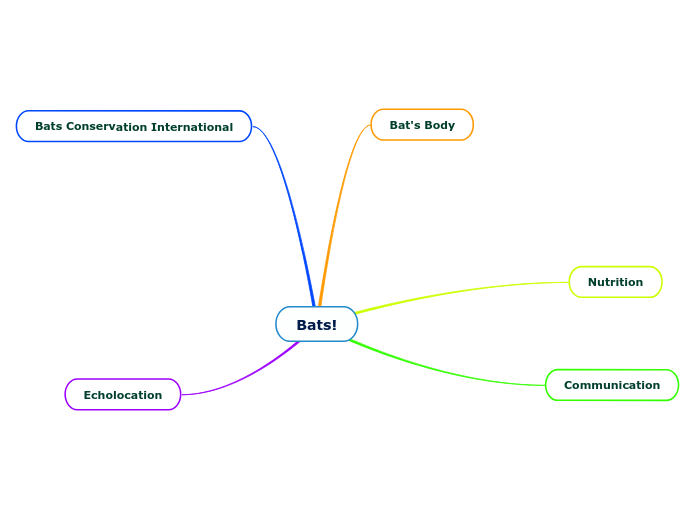 Bats! - Mind Map