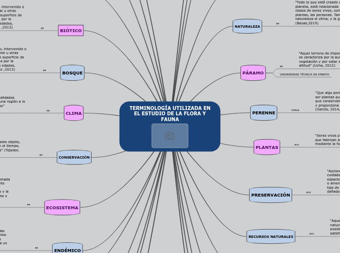 TERMINOLOGÍA UTILIZADA EN EL ESTUDIO DE LA...- Mind Map