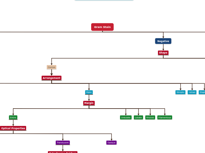 Dichotomy Chart - Mind Map