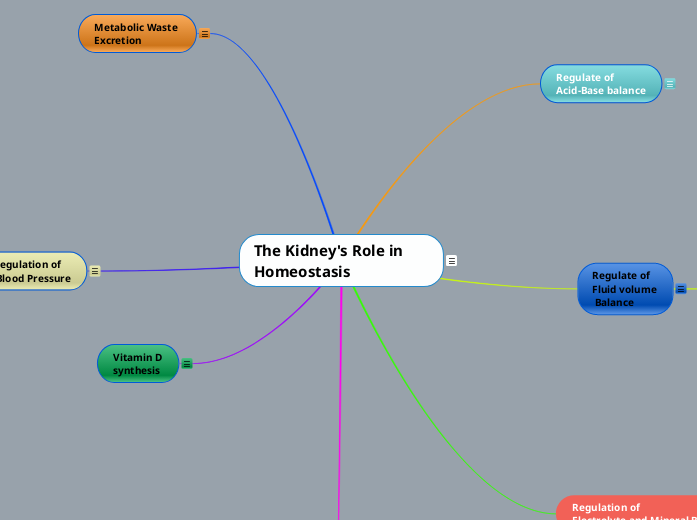 The Kidney's Role in Homeostasis - Mind Map