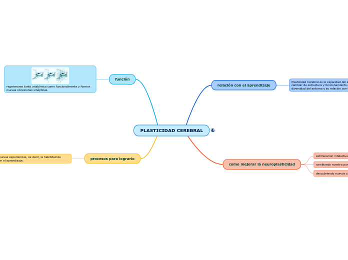 PLASTICIDAD CEREBRAL - Mind Map