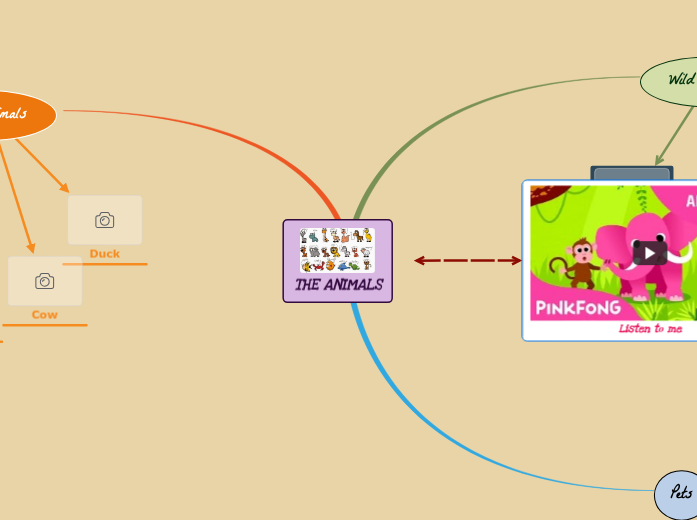 The animals - Mind Map