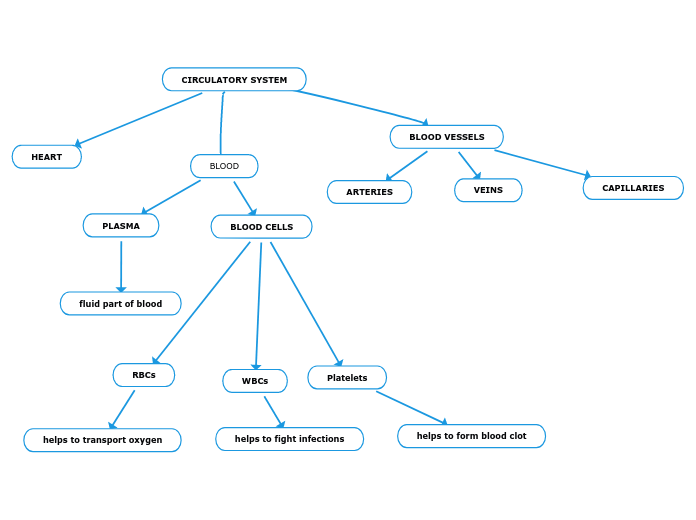 CIRCULATORY SYSTEM - Mind Map