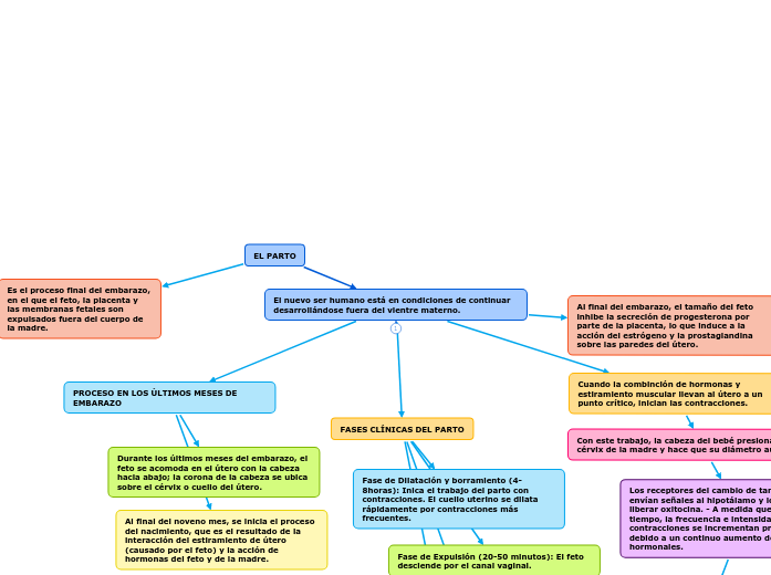 EL PARTO - Mind Map