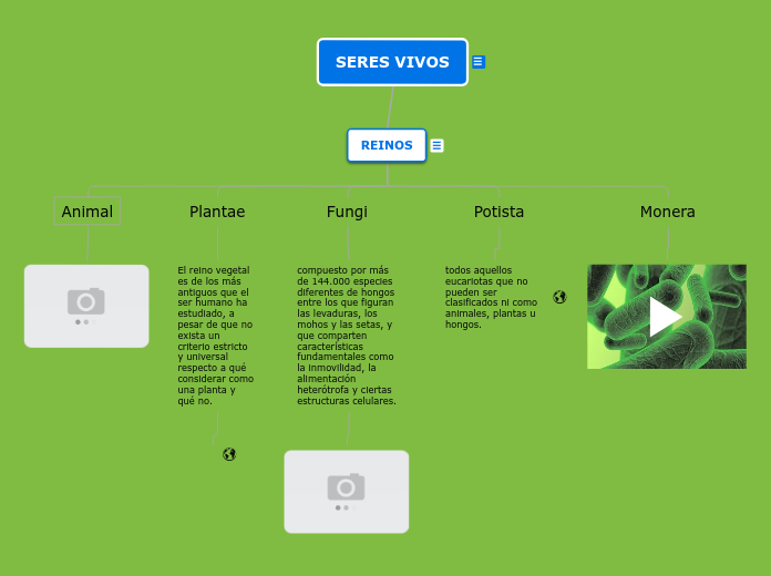 SERES VIVOS - Mind Map