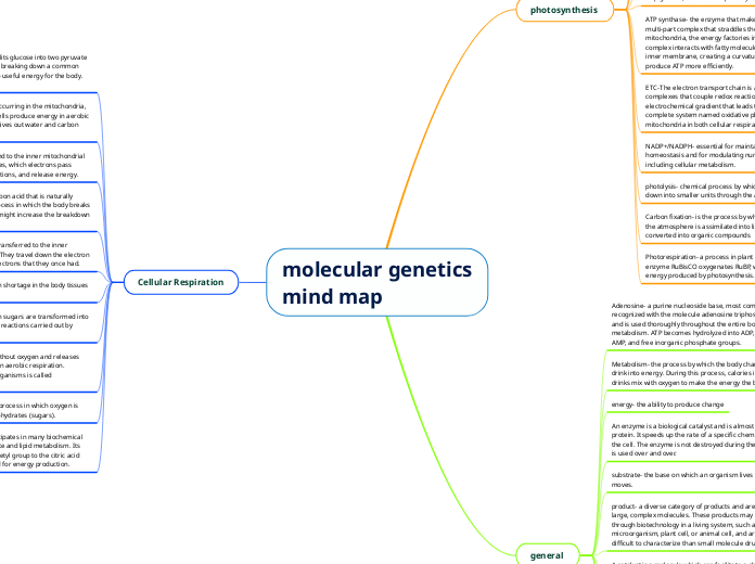 molecular genetics mind map - Mind Map