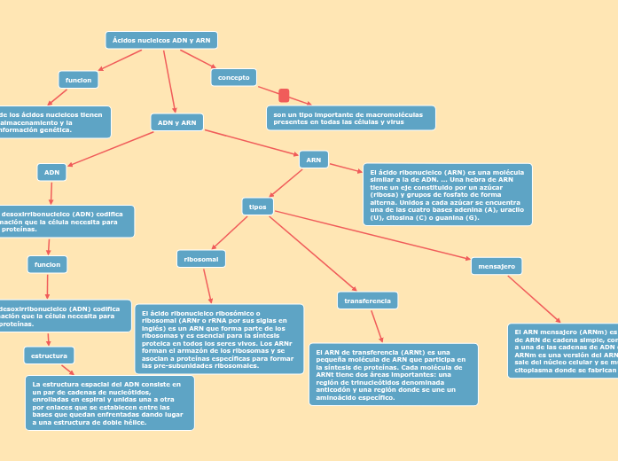 Ácidos nucleicos ADN y ARN - Mind Map