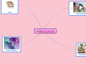 mapa de prueba - Mind Map
