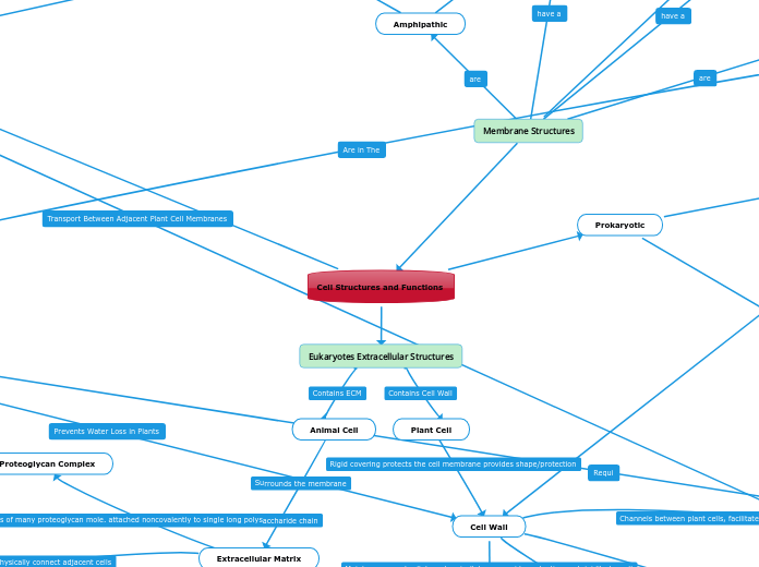 Cell Structures and Functions - Mind Map