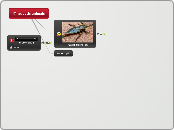 aquatic animals - Mind Map