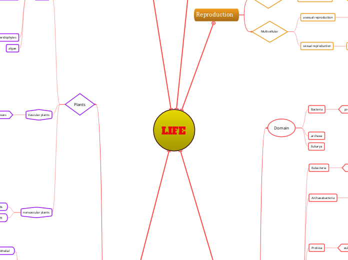 LIFE - Mind Map