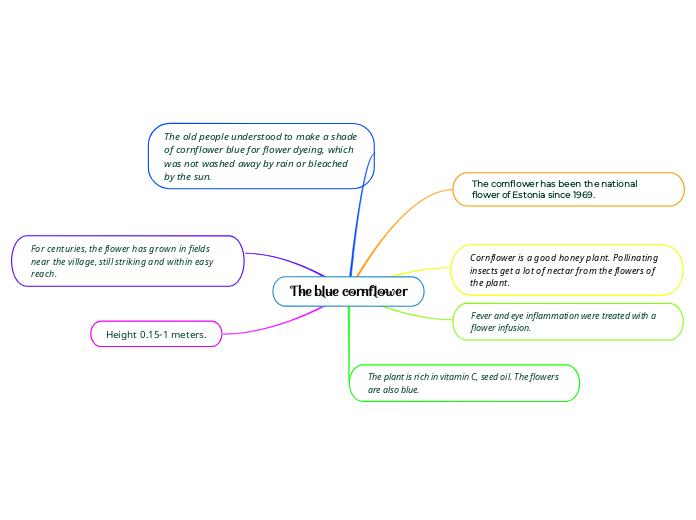 The blue cornflower - Mind Map