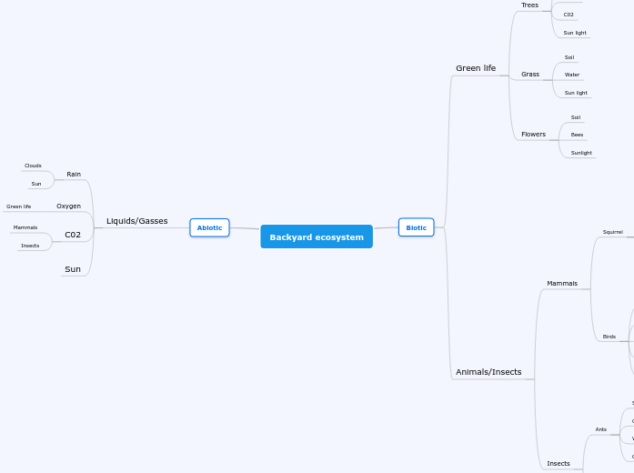 Backyard ecosystem - Mind Map