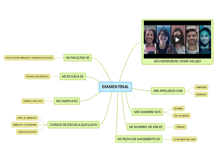 EXAMEN FINAL - Mind Map