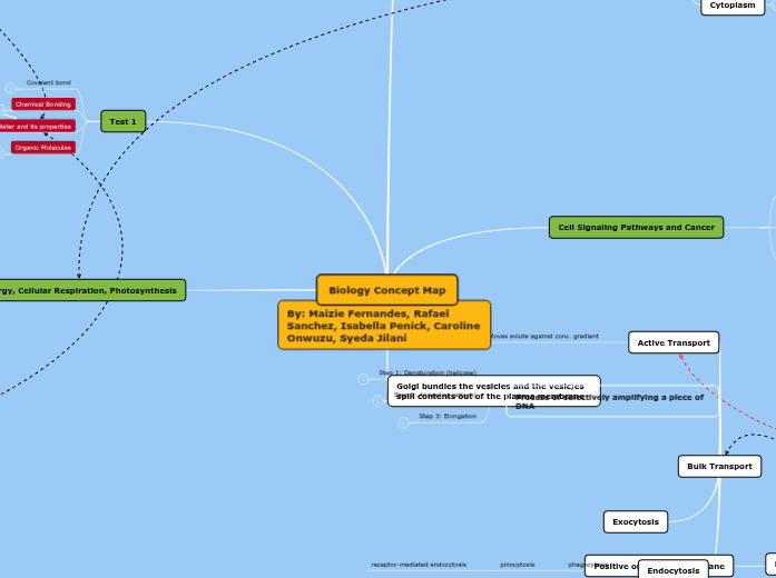 Biology Concept Map - Mind Map