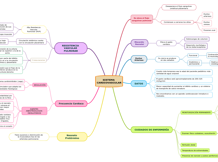SISTEMA CARDIOVASCULAR - Mind Map
