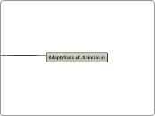 Adaptation - Mind Map