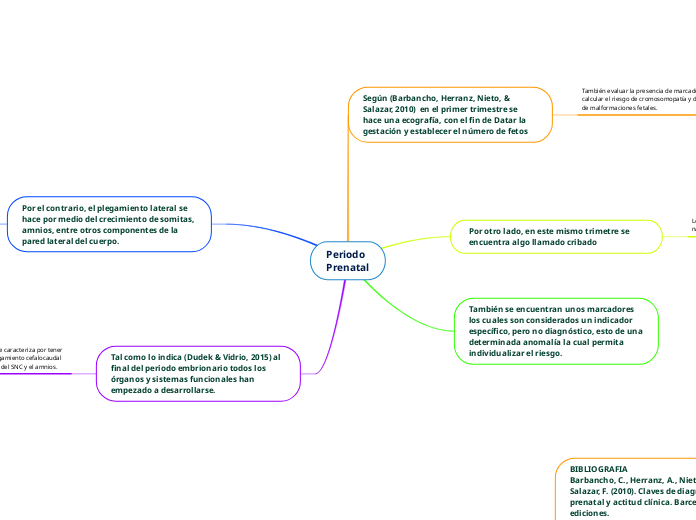 Periodo Prenatal - Mind Map